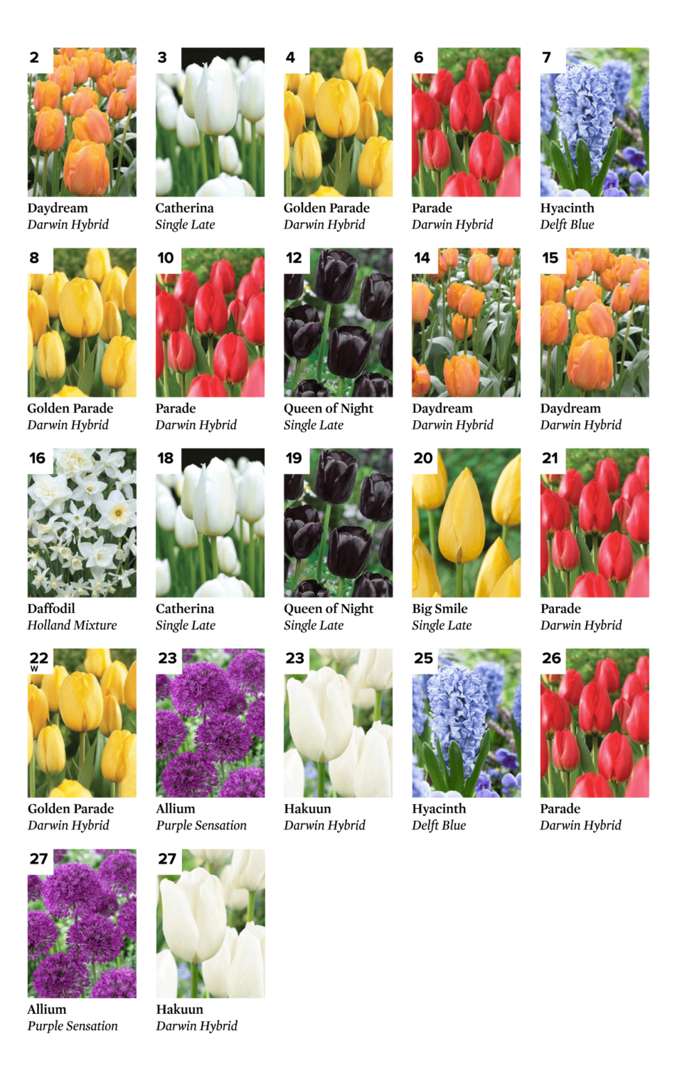 Tulip Guide with Map | Guilford Association